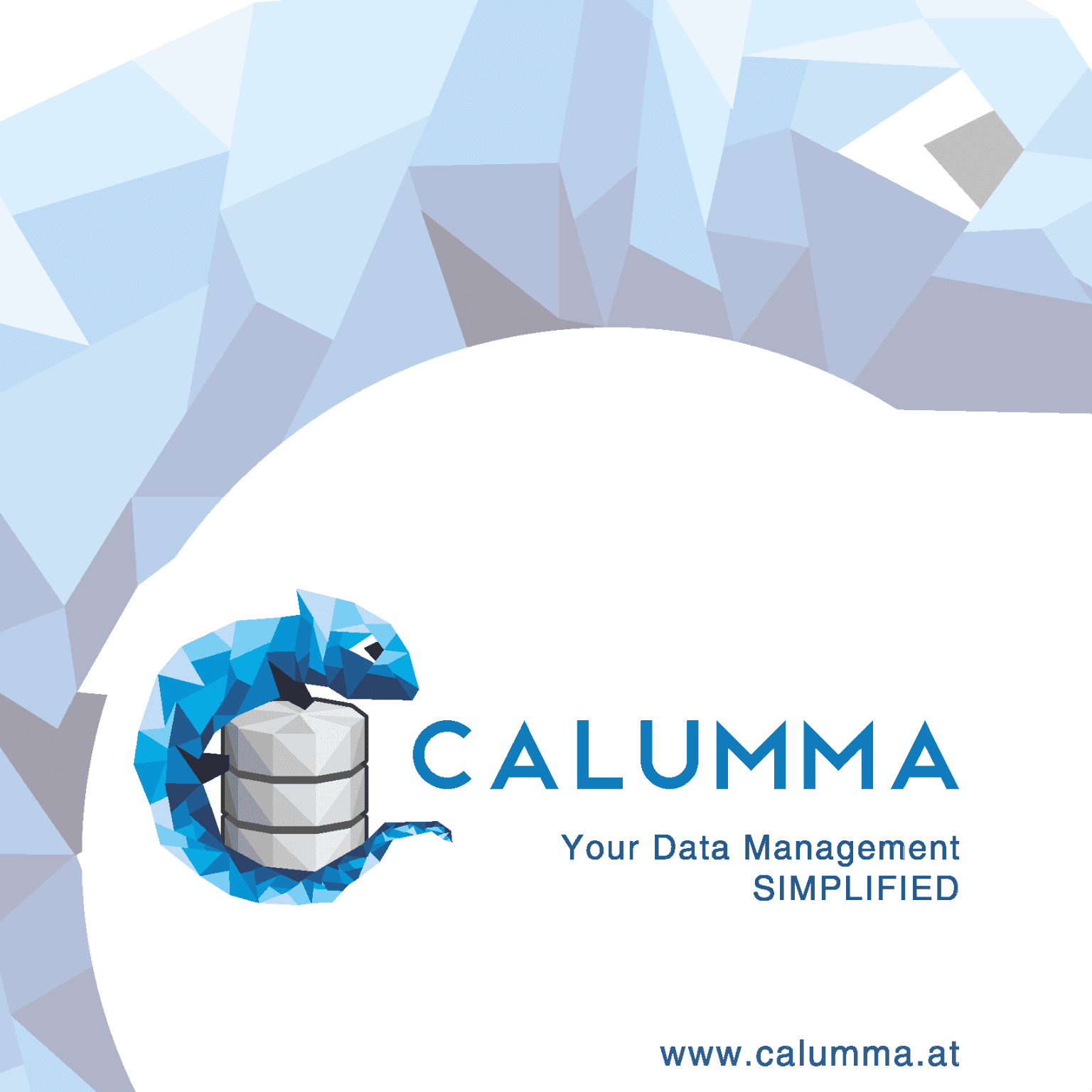 Downloads - RISC Software