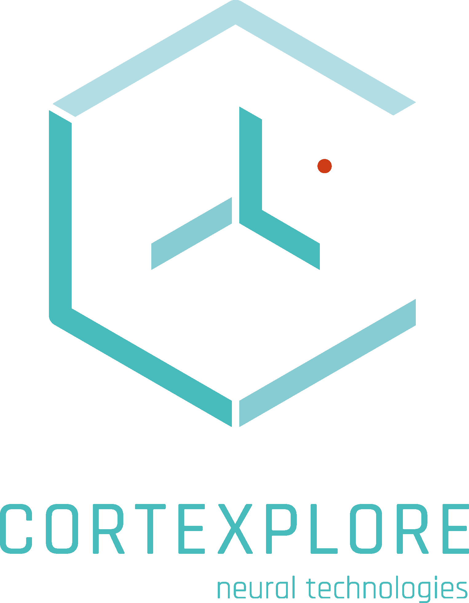 Research Project nARvibrain: Improved brain tumour diagnosis and ...