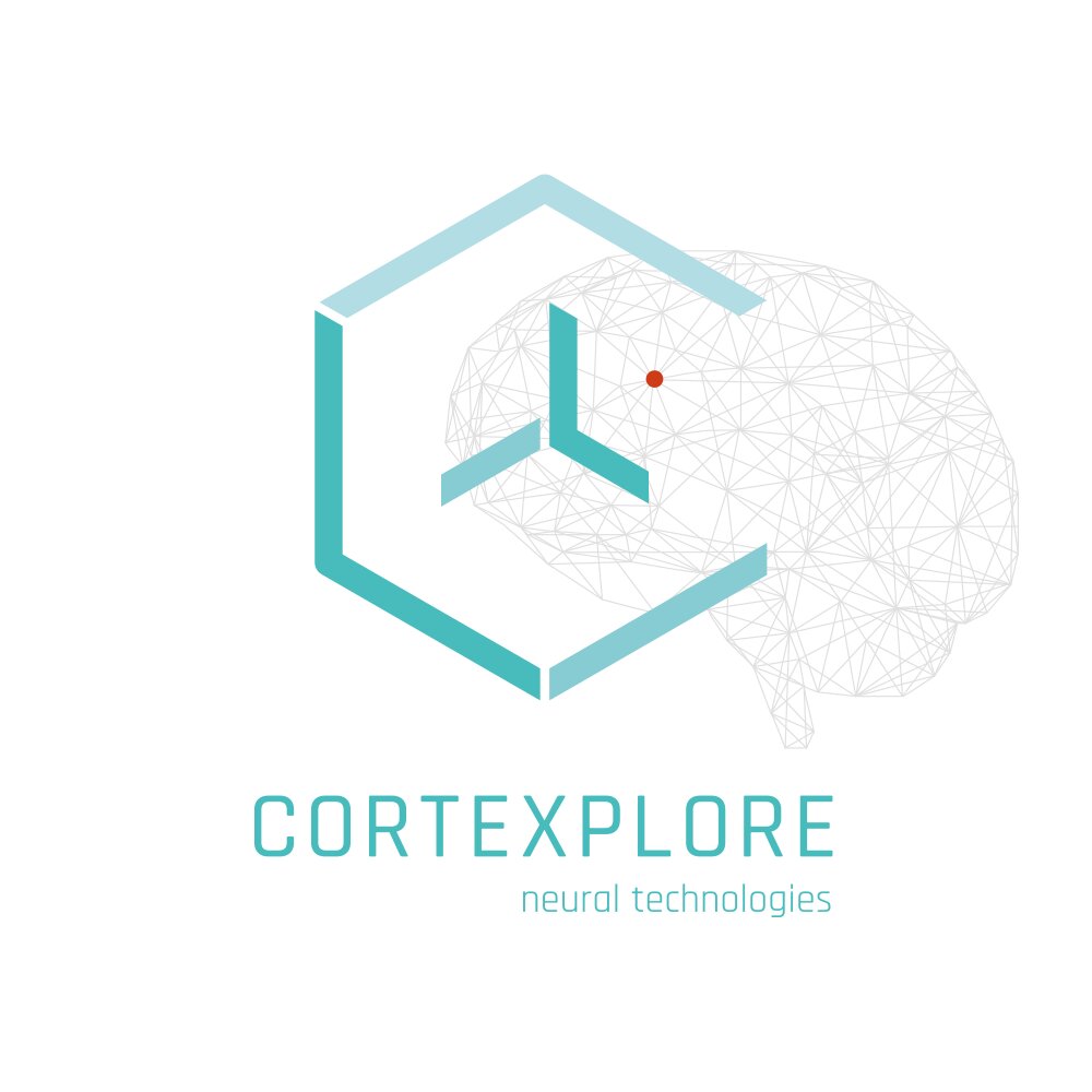 MEDUSA Medical EDUcation in Surgical Aneurysm clipping - RISC Software