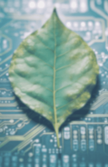 Home - RISC Software GmbH